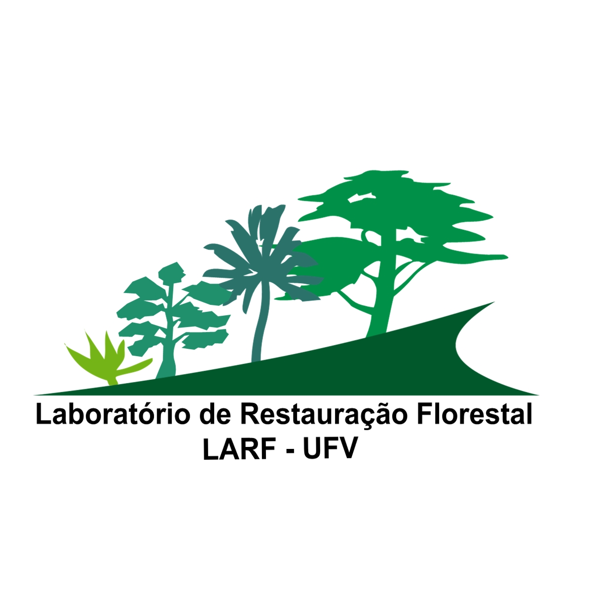 Restauração Florestal | DEF